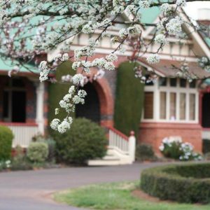 Arranging a Funeral ~ Piddingtons