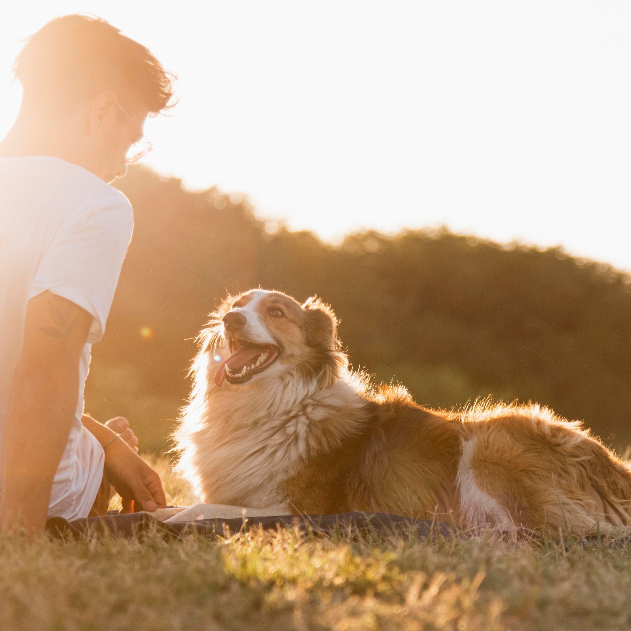 Monuments & Memorials ~ Piddingtons