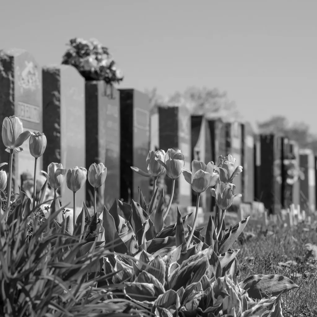 Headstone Examples ~ Piddingtons